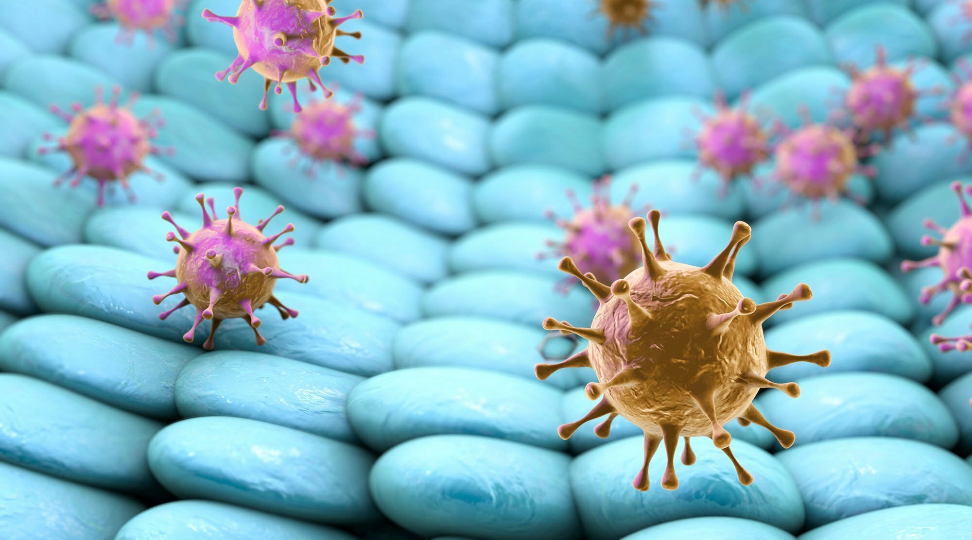 Genome Canada timeline - GenomeCanada