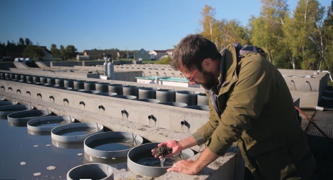 Genome Canada timeline - GenomeCanada